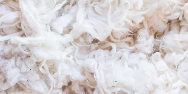 Isolant Coton, Laine de Coton - Isola Sud Ouest